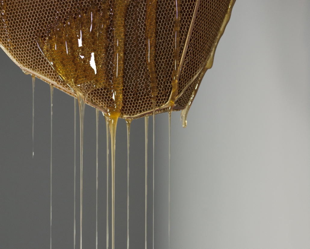 Ruche - Nicolas Darrot