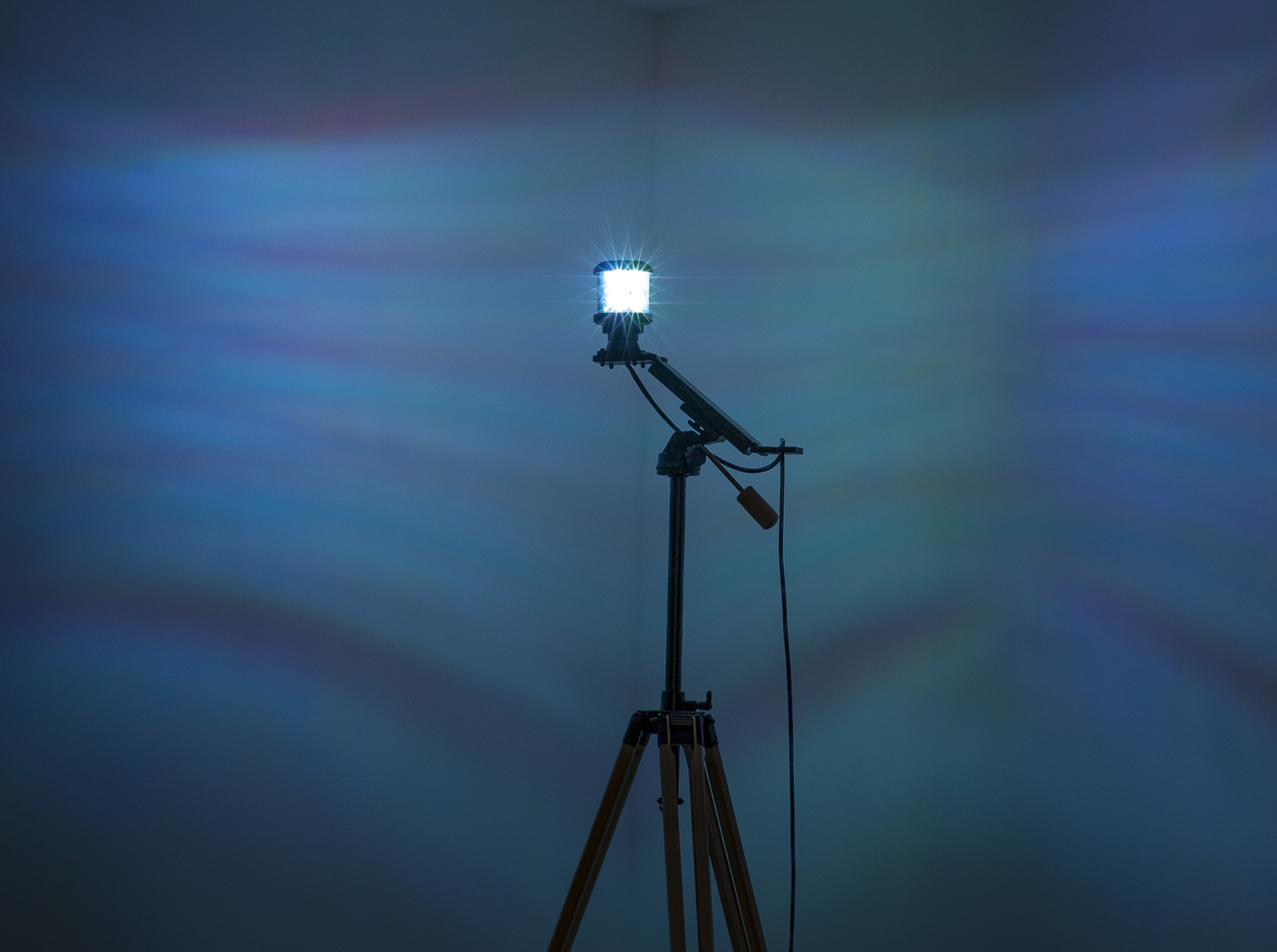 Faune - Nicolas Darrot