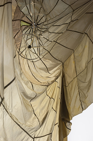 Ariel - Nicolas Darrot