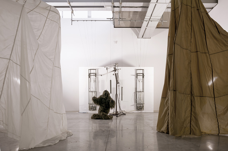 Ariel - Nicolas Darrot