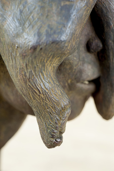 Atlas - Nicolas Darrot